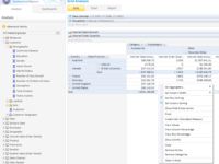 Kyubit BI: precios, funciones y opiniones