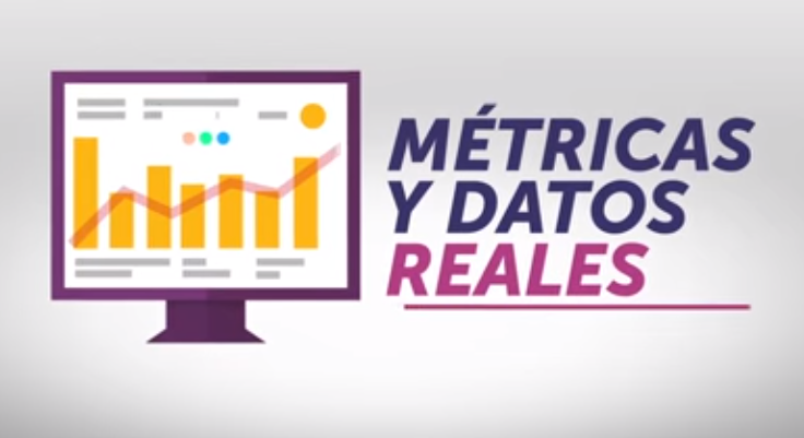 Analitic Octosync : precios, funciones y opiniones