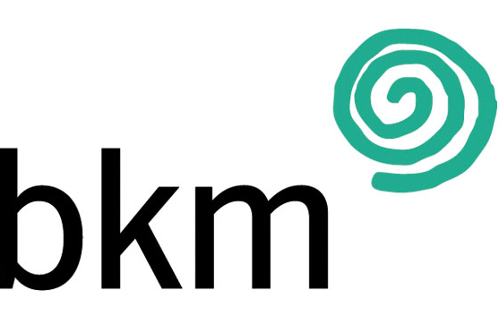 BKM Gestión Documental : precios, funciones y opiniones