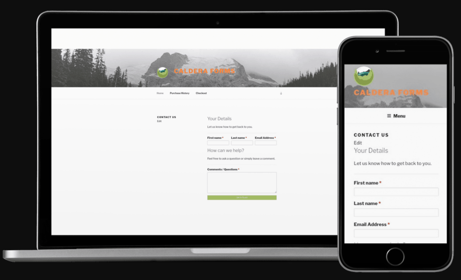 CalderaForms : precios, funciones y opiniones